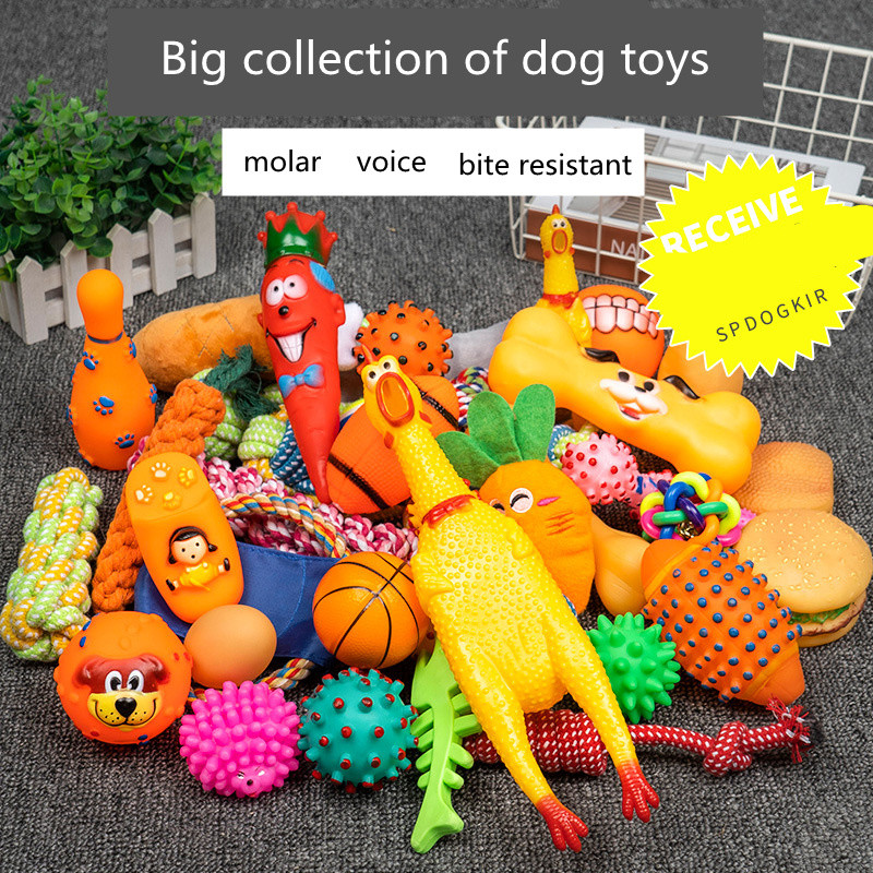 Interactive Dog Toys Kit: Ball, Bone, Rope, Plush Squeaky To | Inspire Uplift