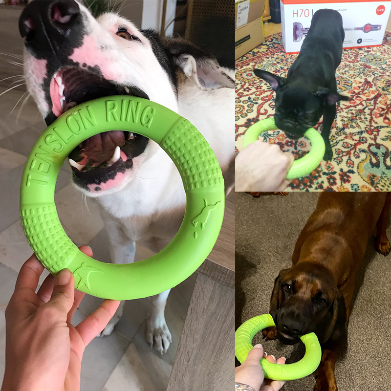 Large Dog Training Toy: 18/27CM EVA Interactive Ring Puller | Inspire ...