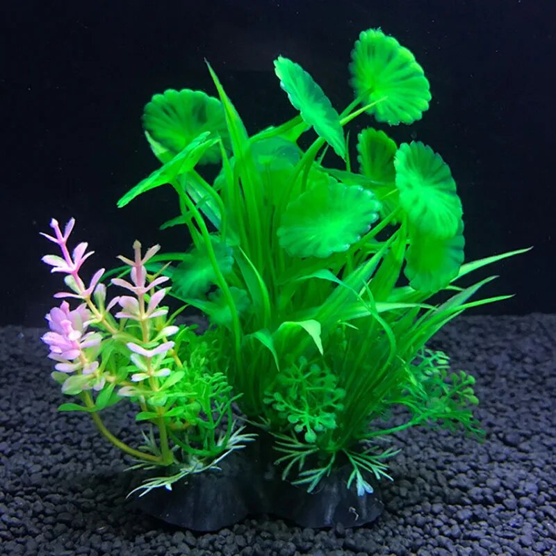 Aquarium Decor | Inspire Uplift