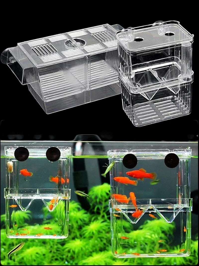 Acrylic Fish Breeding Isolation Box for Betta Fish Aquarium | Inspire ...