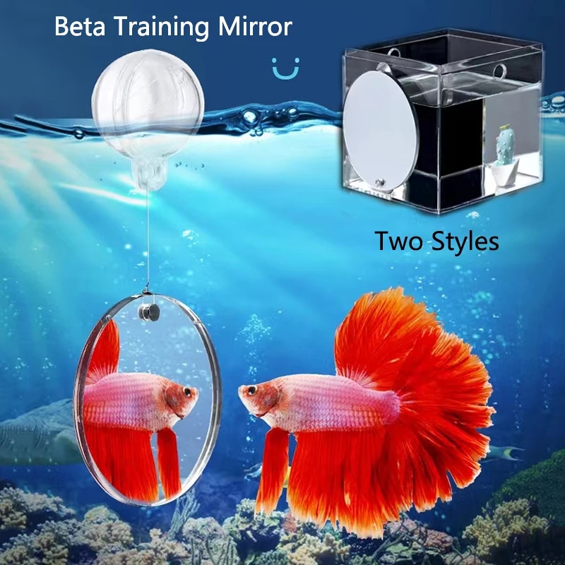 Acrylic Aquarium Betta Mirror: Floating Round Tank for Fish | Inspire ...