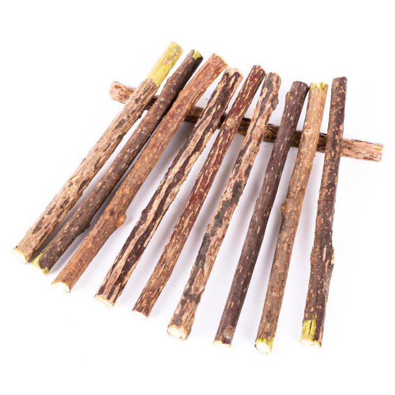 Natural Catnip Molar Toothpaste Stick: 10/15/20PCS Matatabi | Inspire ...