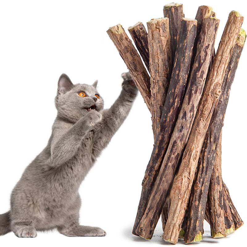 Natural Catnip Cat Molar Stick: Effective Teeth Cleaning & P | Inspire ...