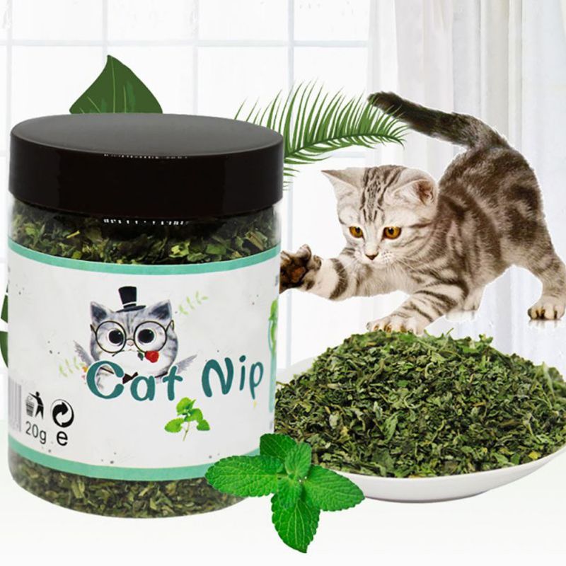 Premium Natural Catnip Leaves: Ideal Treats for Cats - 10g, | Inspire ...
