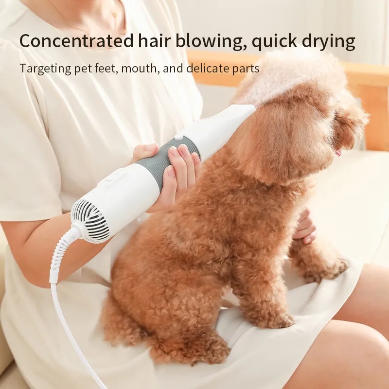 3-in-1 Pet Dryer: Quiet Dog Hair Blower & Comb Brush for Gro | Inspire ...