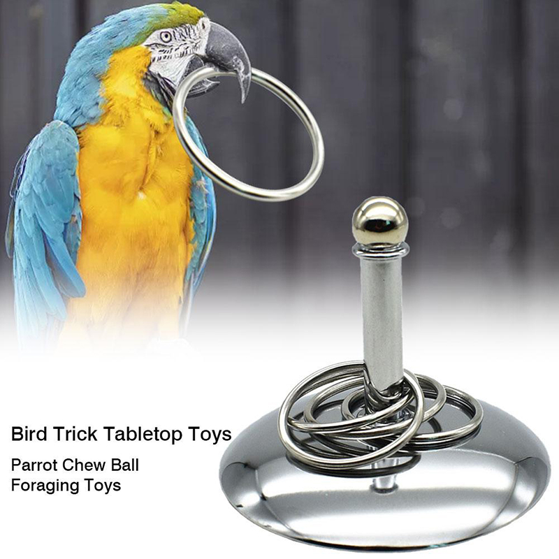 Bird Parrot Training Toys for Interactive Intelligence Devel | Inspire ...