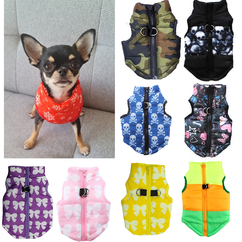 Small Dog Winter Clothes: Stylish Jackets for Yorkies, Chihu | Inspire ...