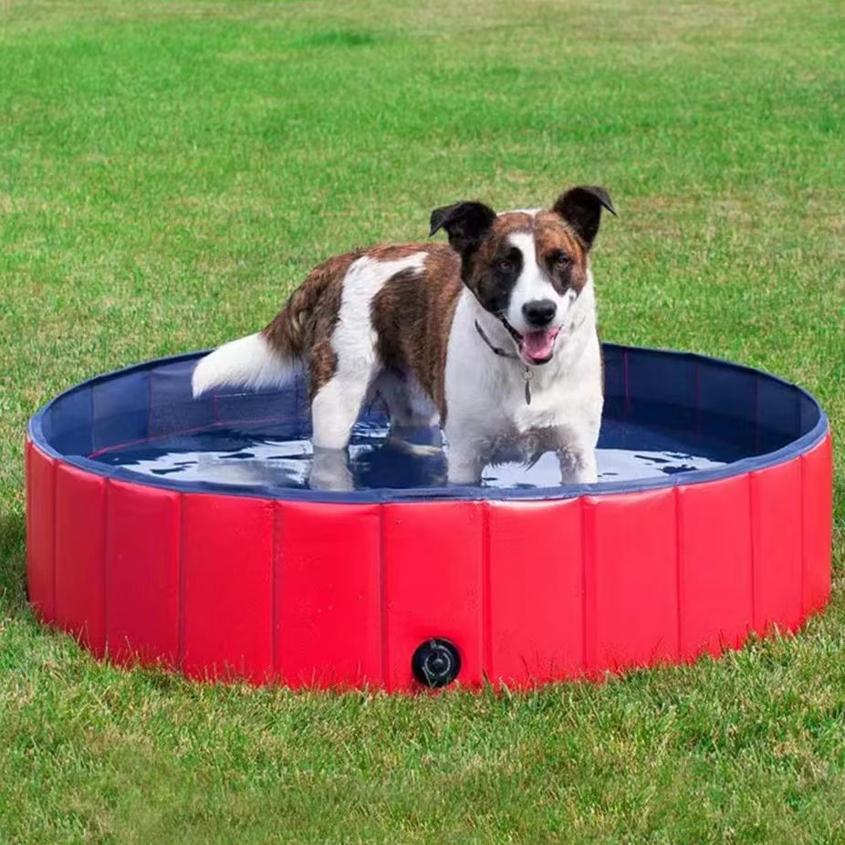 Foldable Pet BathTub & Portable Dog Pool Non-Slip Design | Inspire Uplift