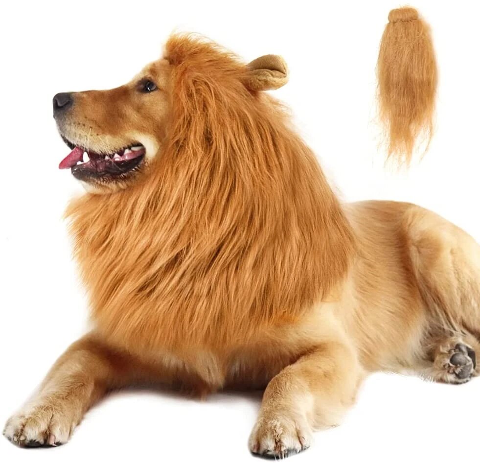 Large Dog Lion Mane Costume & Party Hat | Pet Cosplay Access | Inspire ...