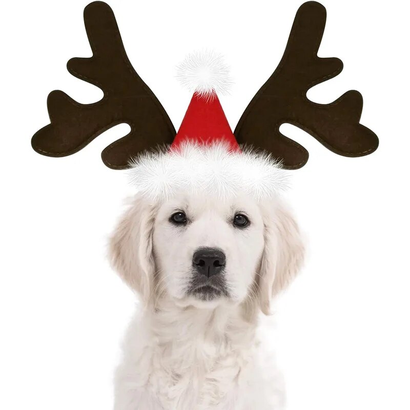 Reindeer Hat | Inspire Uplift
