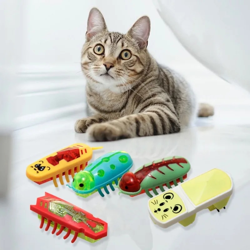 Pet Interactive Mini Electric Bug Cat Toy - Escape Obstacle, | Inspire ...
