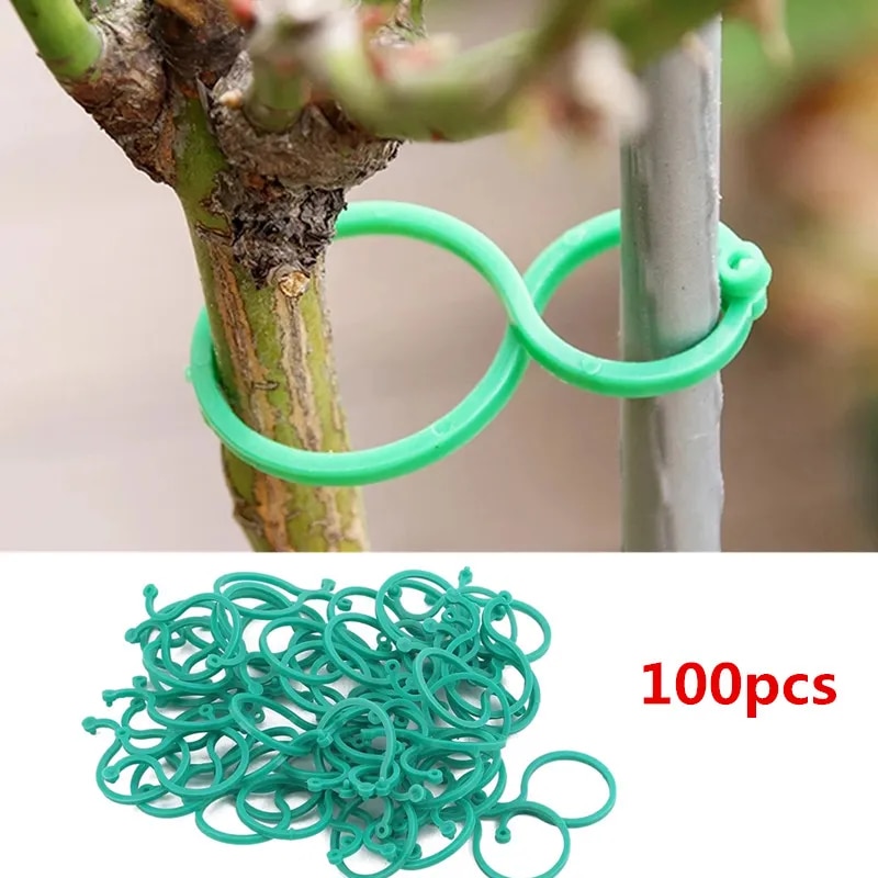 2 Size Garden Vine Strapping Clips - Plant Bundled Buckle Ri | Inspire ...