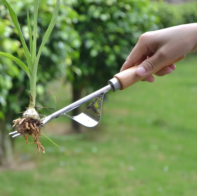 Steel Root Extractor: Wooden Hand Weeder & Long Handle Tool | Inspire ...