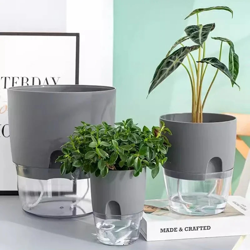 Transparent Self-Watering Flower Pot for Hydroponic Plants: | Inspire ...