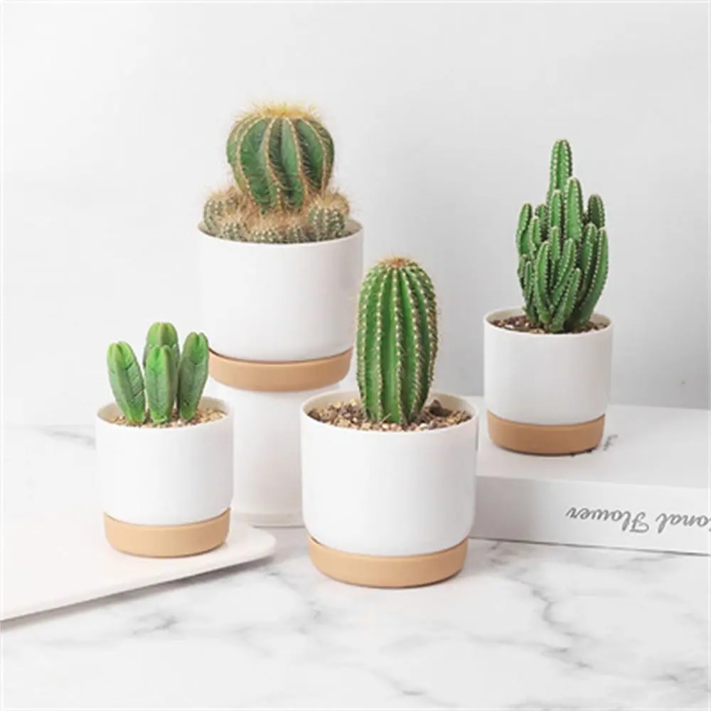Round Double-layer Self-Watering Flowerpot for Succulents: A | Inspire ...