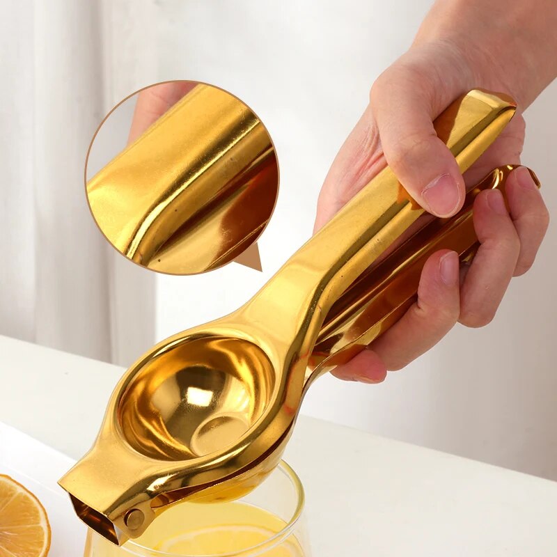 Stainless Steel Manual Juicer: Handy Lemon & Orange Squeezer | Inspire ...