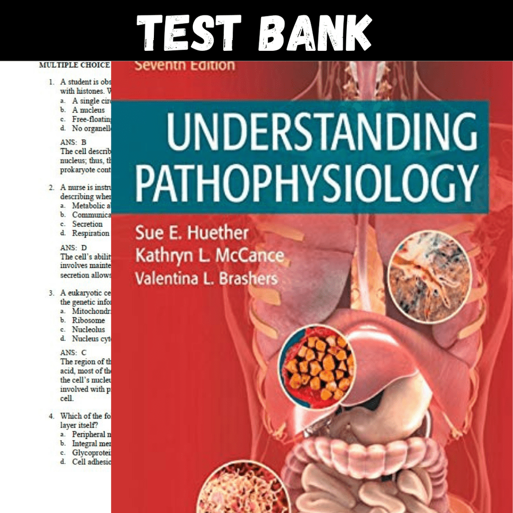 Understanding Pathophysiology 7th Edition Huether Test Bank - Inspire ...