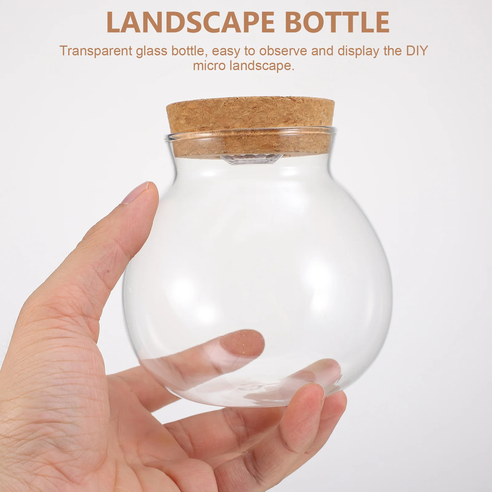 Mini Ecological Fish Tank Landscape Aquarium Bottle | Inspire Uplift