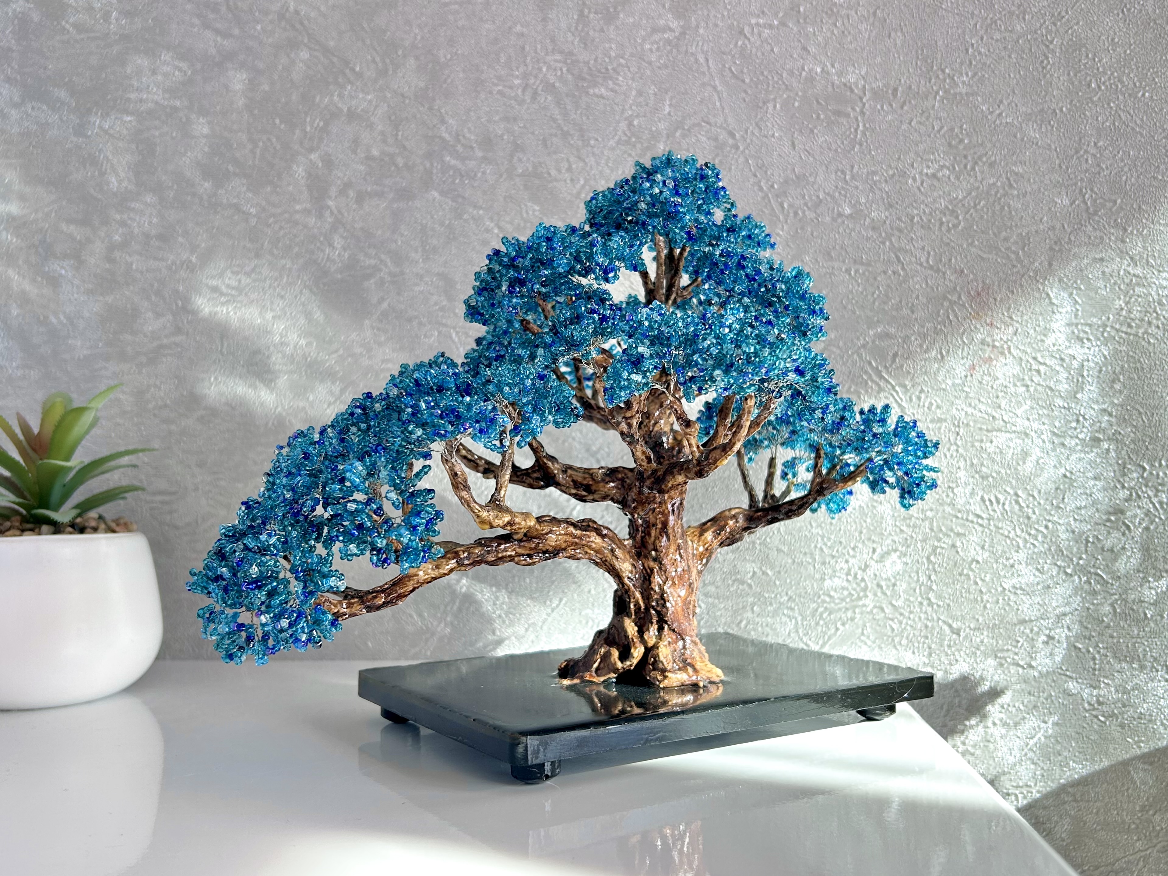 Blue Bonsai Tree Hi! This Is My Bonsai Tree. I Am Both New To Caring