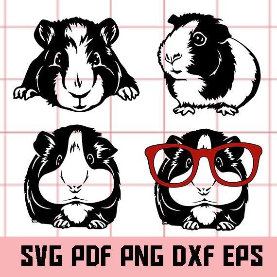 guinea pig clipart - Inspire Uplift