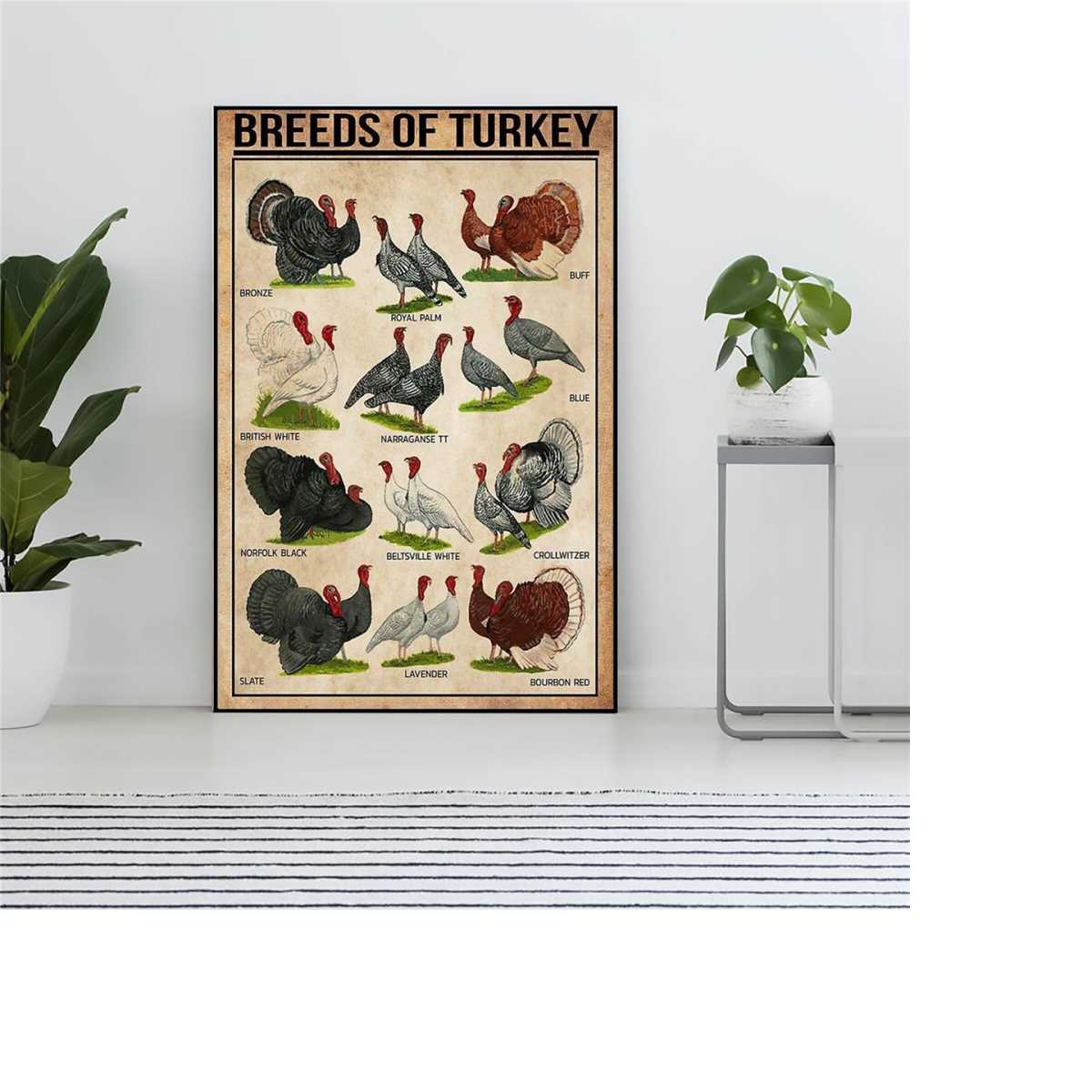 Breeds Of Turkey Poster, Turkey Lover Gift, Turkey | Inspire Uplift