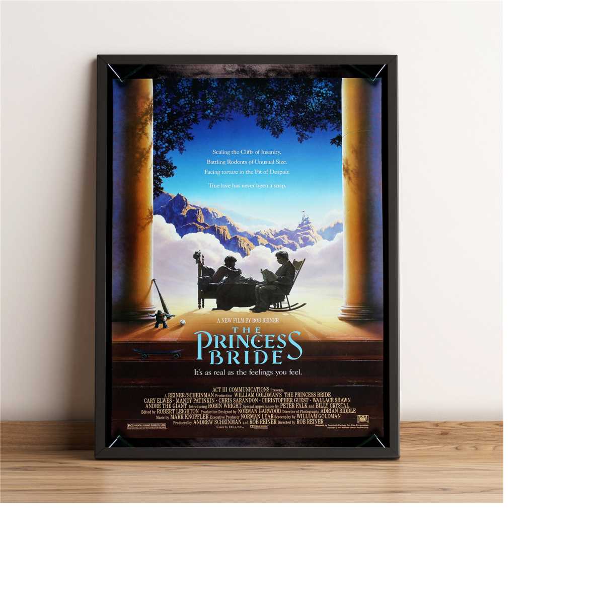 Princess Bride Posters – Whimsical & Romantic Art | Inspire Uplift