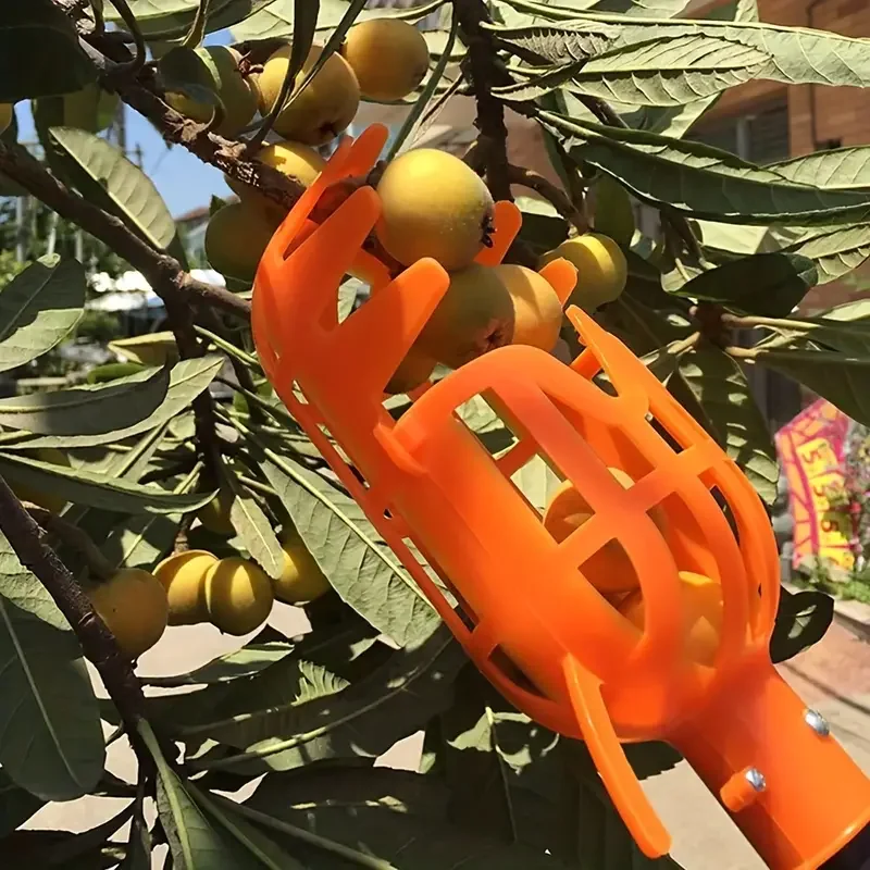 High Reach Fruit Picker Tool for Tree Harvesting | Inspire Uplift