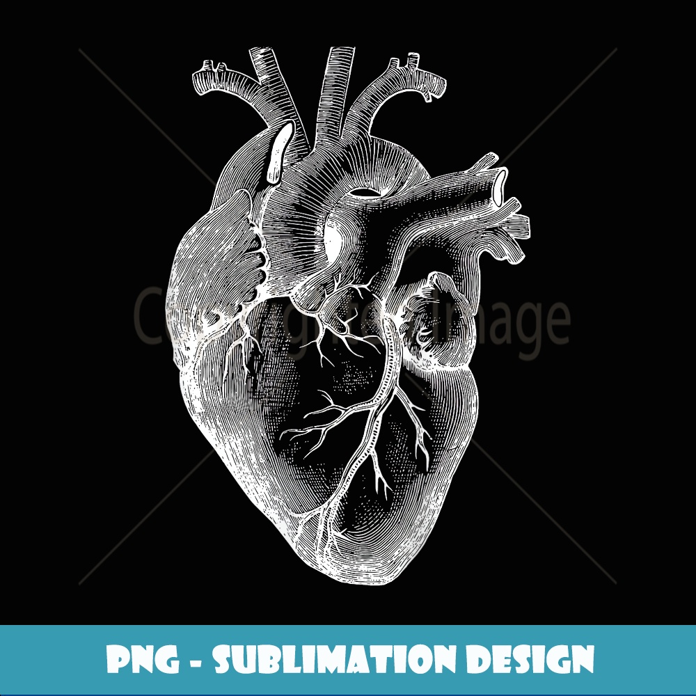 Anatomical Human Heart medical doctor Heart anatomy - Artist | Inspire ...