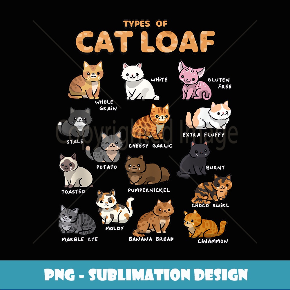 Types of Cat Loaf Cute Kitten Kawaii Cats, Cat Lover - Artis | Inspire ...