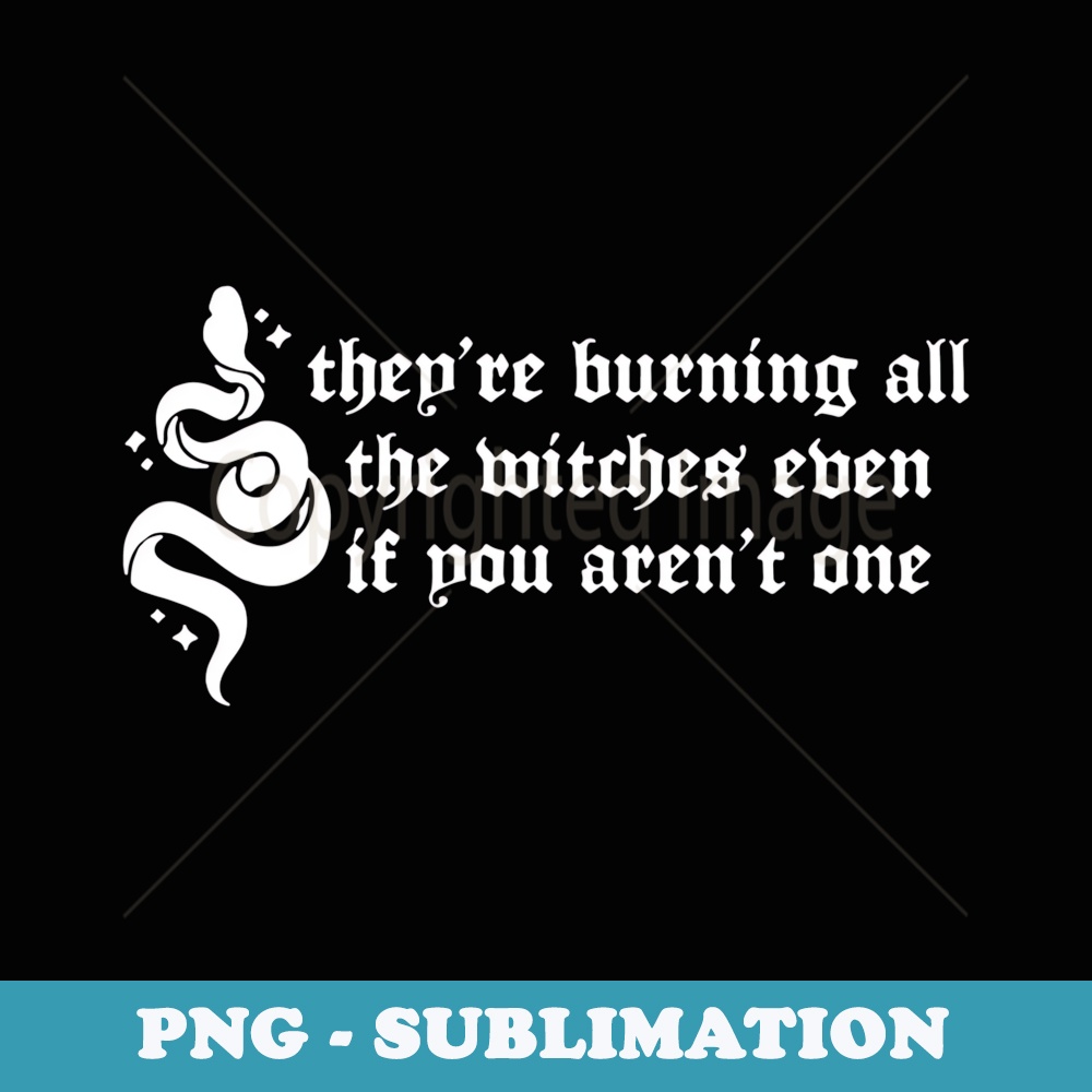 Theyre Burning All the Witches Even If You Arent One - PNG S | Inspire ...