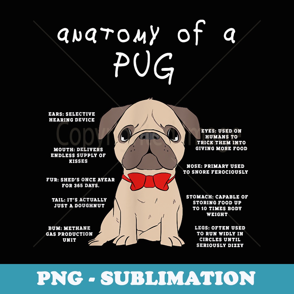 Anatomy Of A Pug Funny Pugs Dog Body Parts Puppy - Retro PNG | Inspire ...