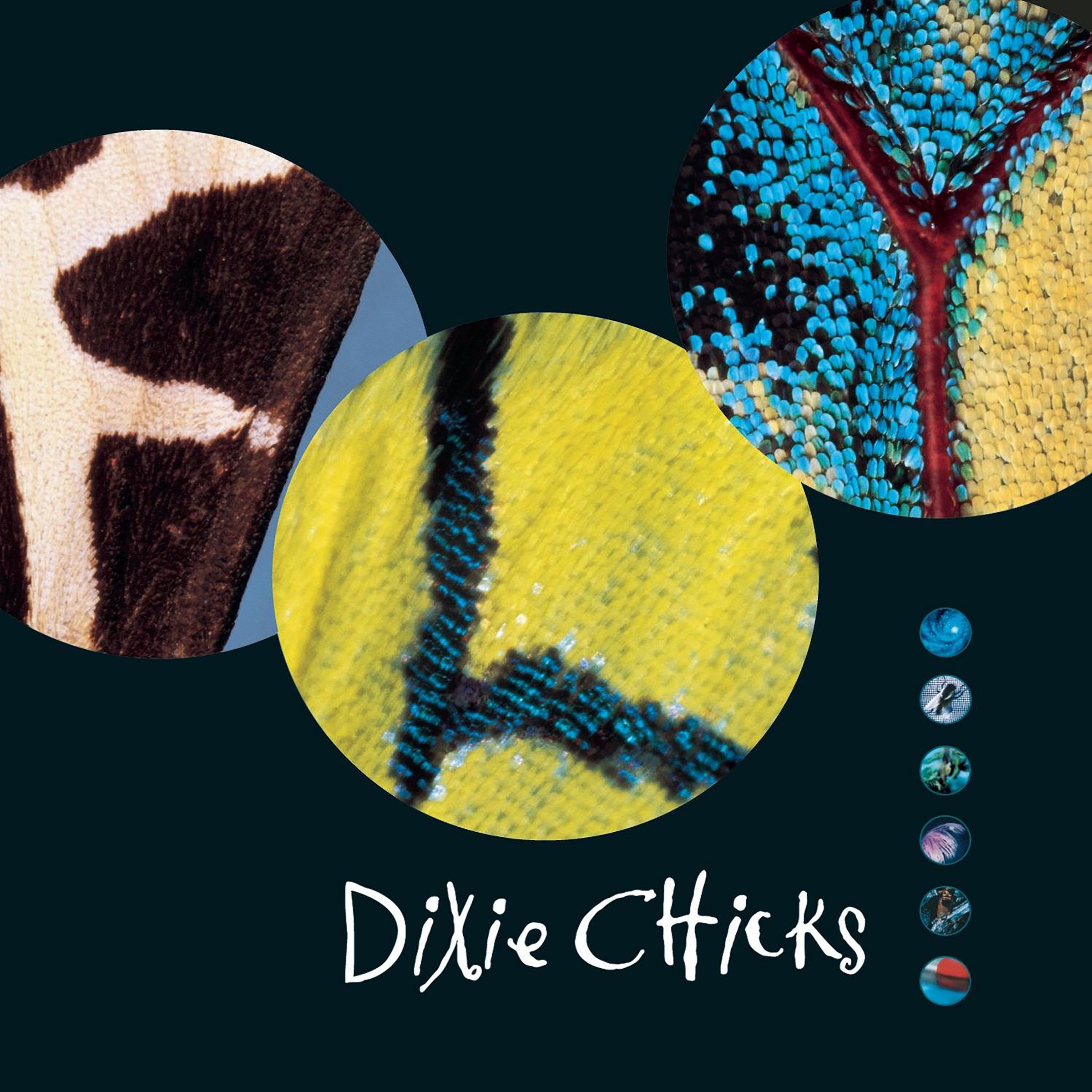 Dixie Chicks (Gaslighter) Album Cover POSTER | Inspire Uplift