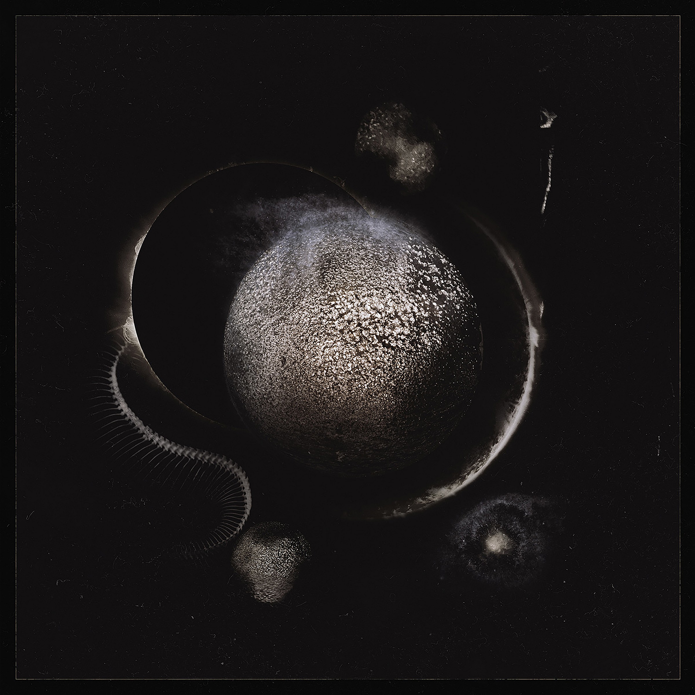 Enthroned (Cold Black Suns) Album Cover POSTER | Inspire Uplift
