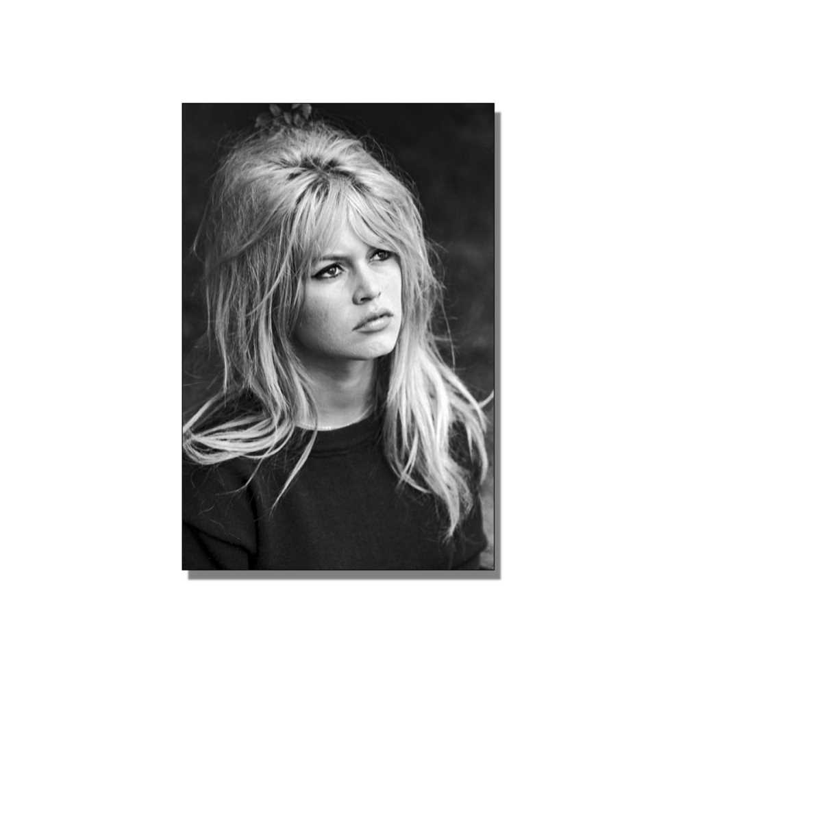 Brigitte Bardot Canvas, Brigitte Bardot Poster, Brigitte Bar | Inspire ...