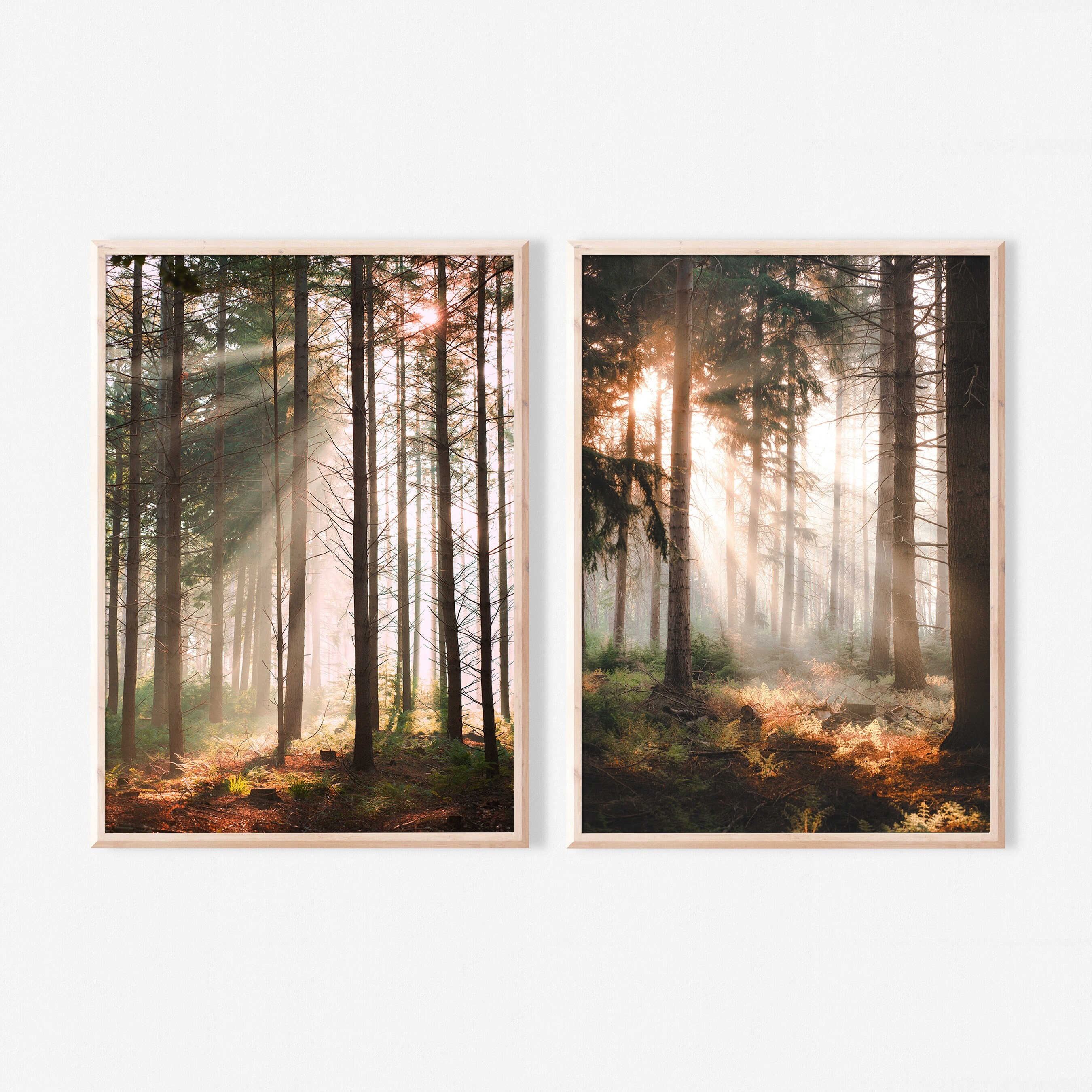 Forest Light Beam Gallery Wall Art Set of 2 Nature Photograp | Inspire ...
