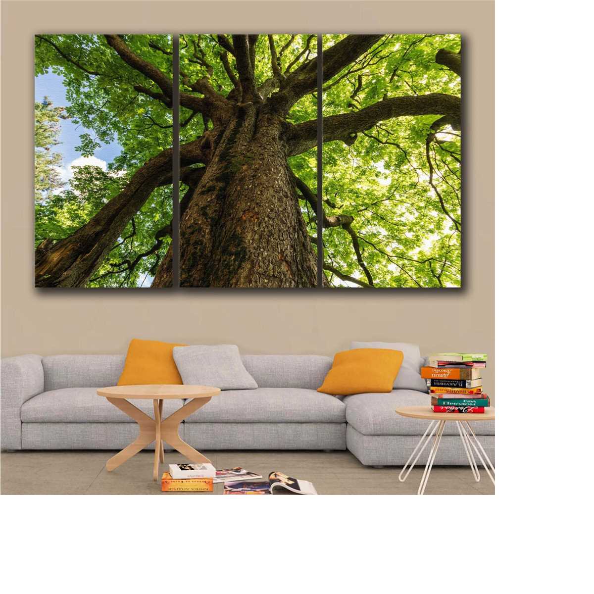 Angel Oak Tree Canvas, Modern Wall Art, Big Tree Wall Art, E | Inspire ...