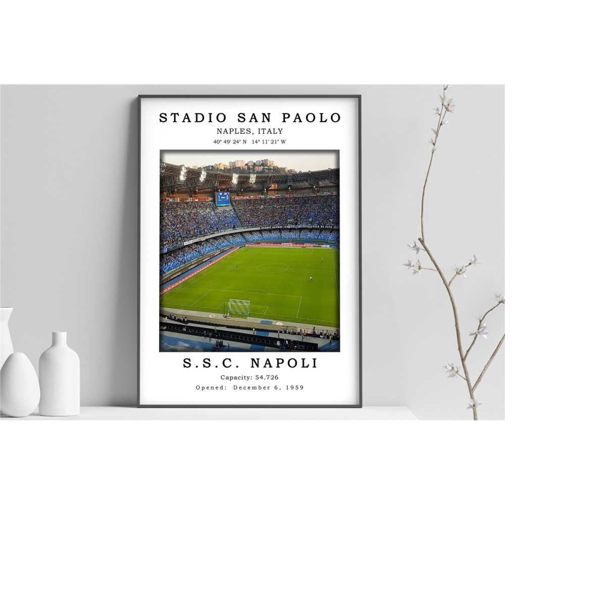 Stadio San Paolo Canvas Poster | Stadio San Paolo Stadium Pr | Inspire ...