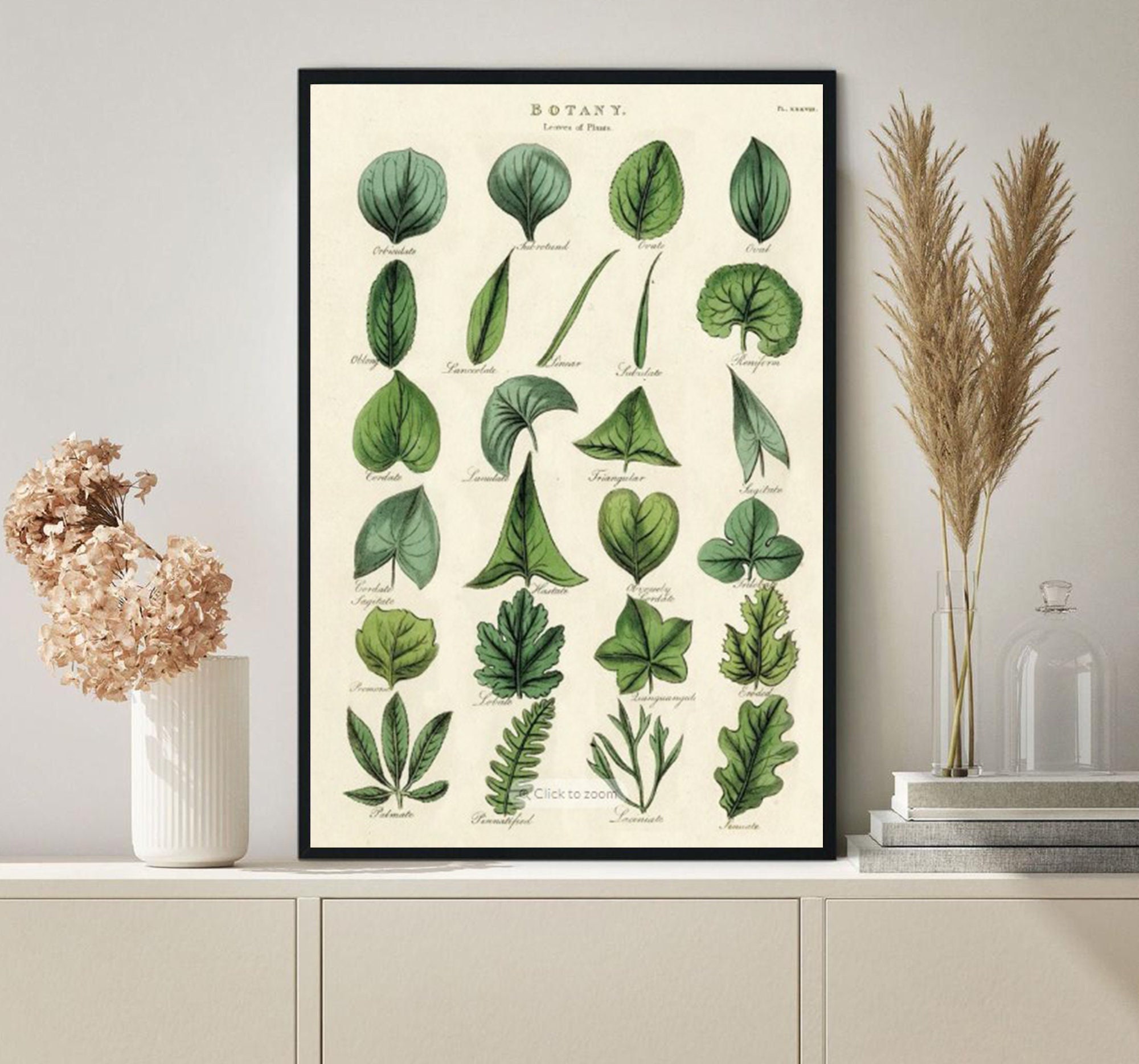 Vintage Leaves Of Plants Leaf Knowledge Poster | Inspire Uplift