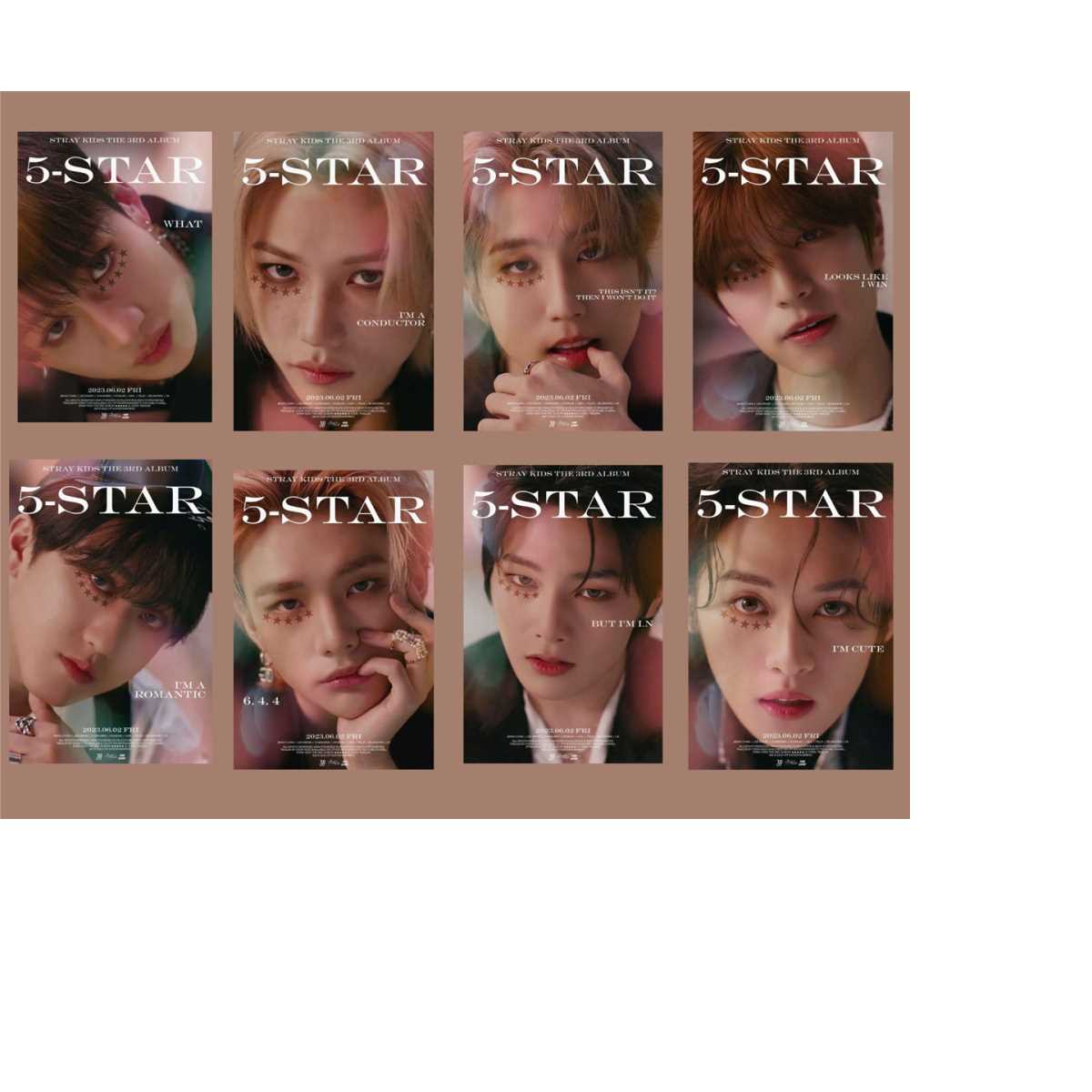 Stray Kids 5 Star poster,StrayKids Wall Print,Stays gift,Skz | Inspire ...