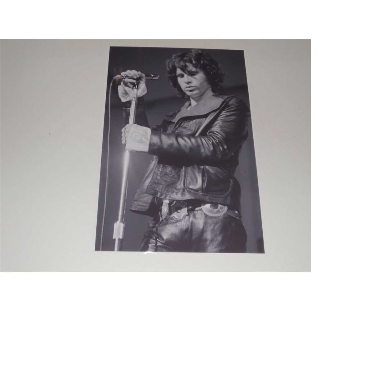 Large Jim Morrison The Doors on Stage in | Inspire Uplift