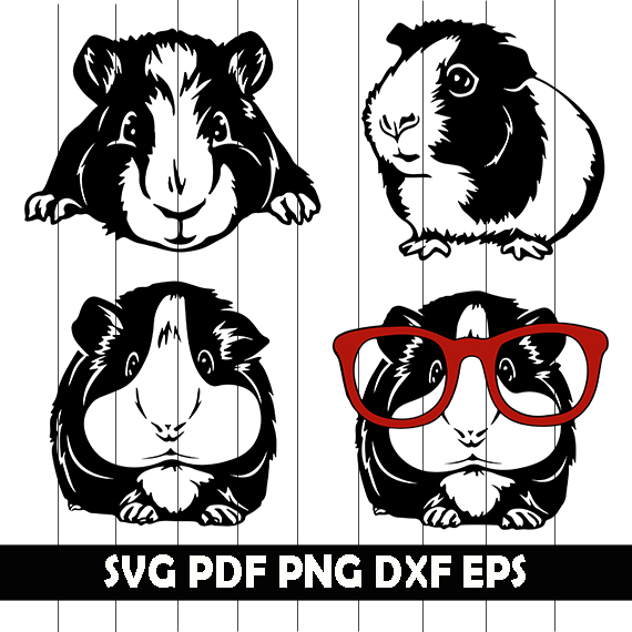 guinea pig clipart - Inspire Uplift
