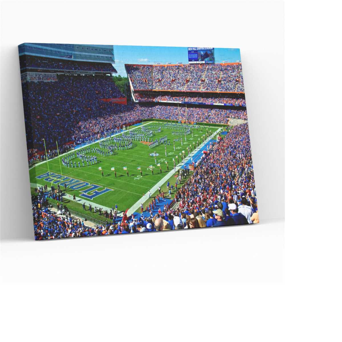 Florida Swamp Ben Hill Griffin Stadium Modern Home Decor Kid | Inspire ...
