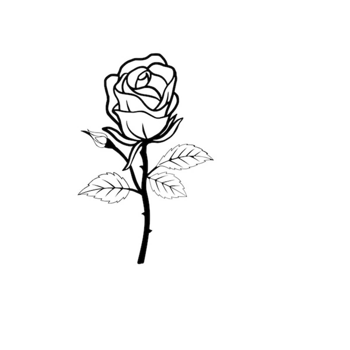 long stem Rose Download Vector Cut File, bmp, png, jpg Cricu | Inspire ...