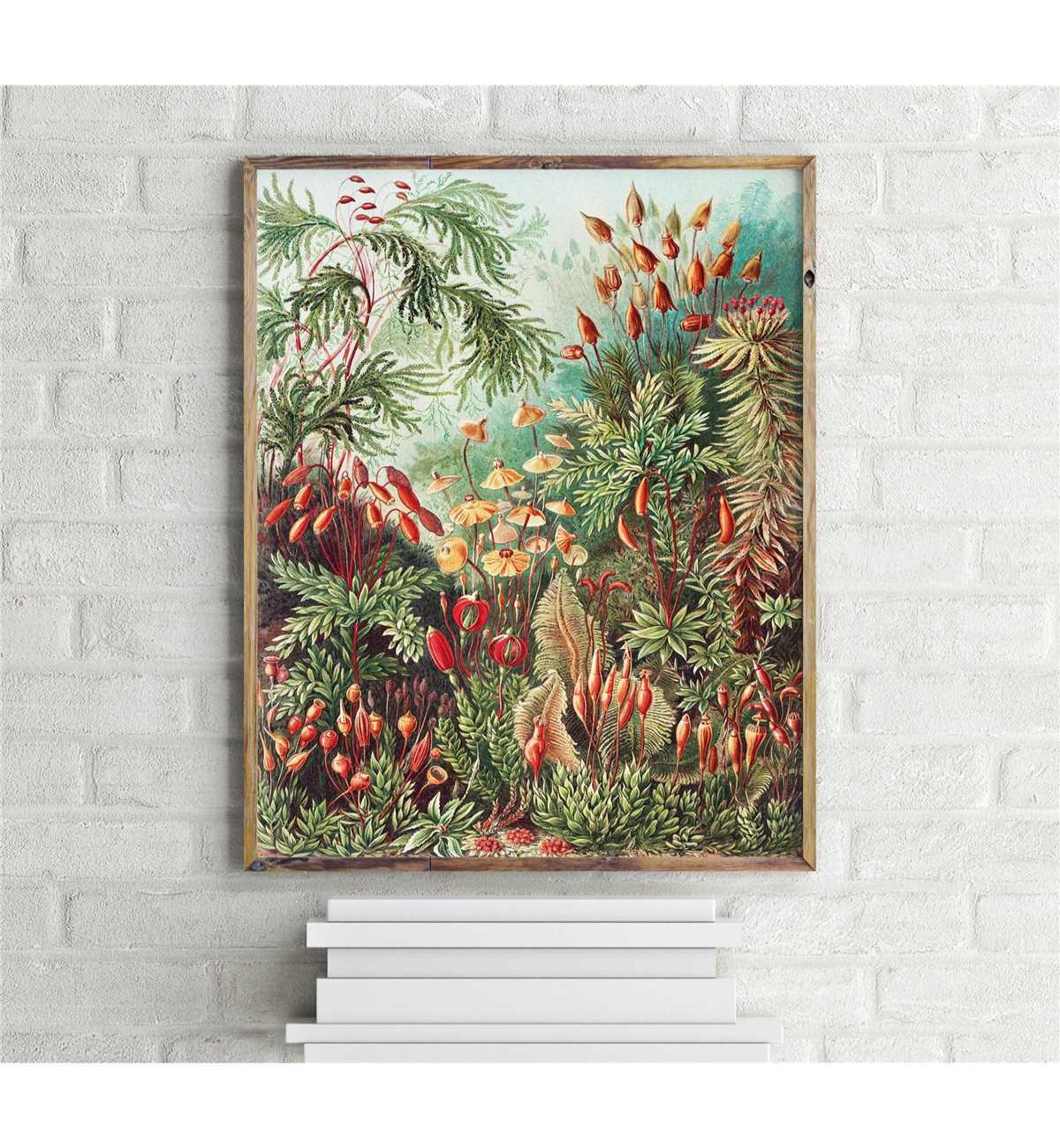 Laubmoose, Bryophyta Mosses Vintage Poster, Retro Wall Art | Inspire Uplift