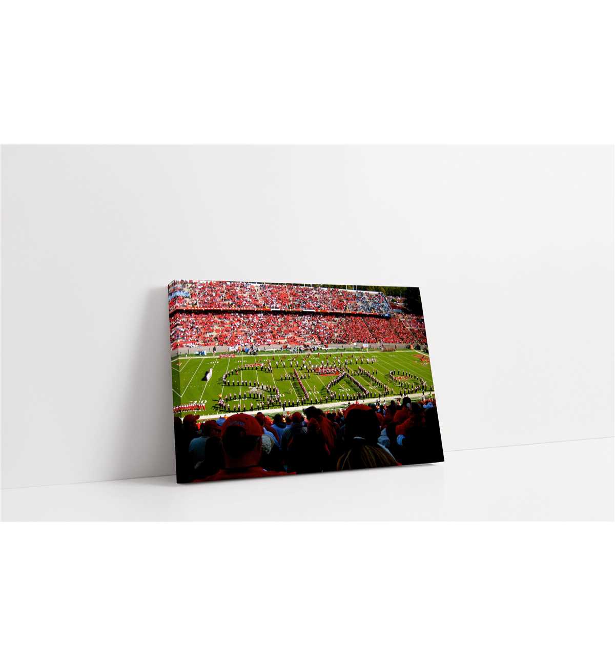 NC State Wolfpack Wall Art | Carter Finley | Inspire Uplift