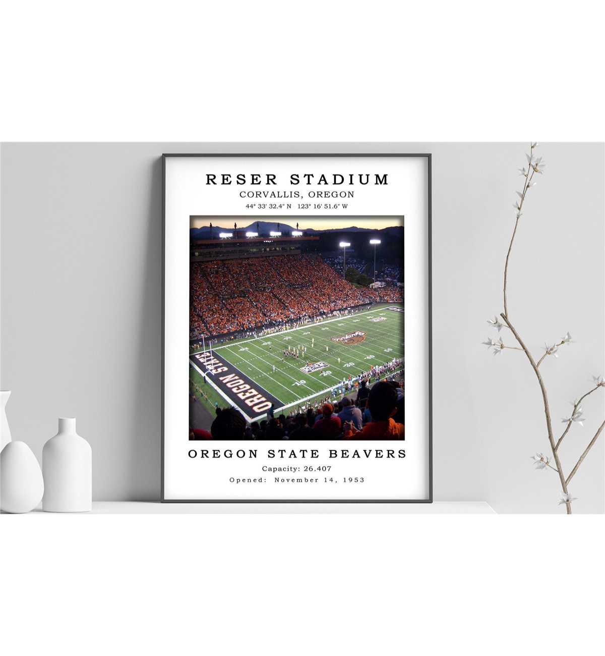 Reser Stadium Poster Print | Stadium Print Canvas | Inspire Uplift
