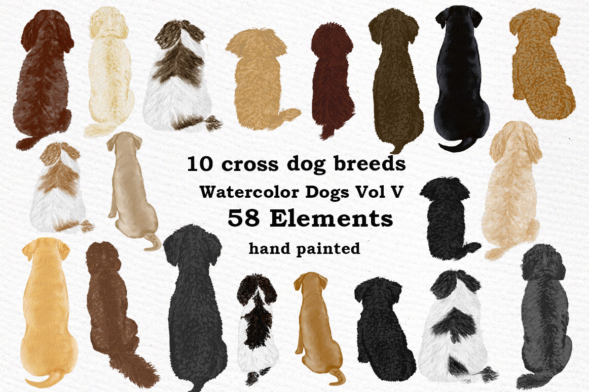 Dog Breeds Watercolor Graphic Png, Dog Illustration, Puppies | Inspire ...