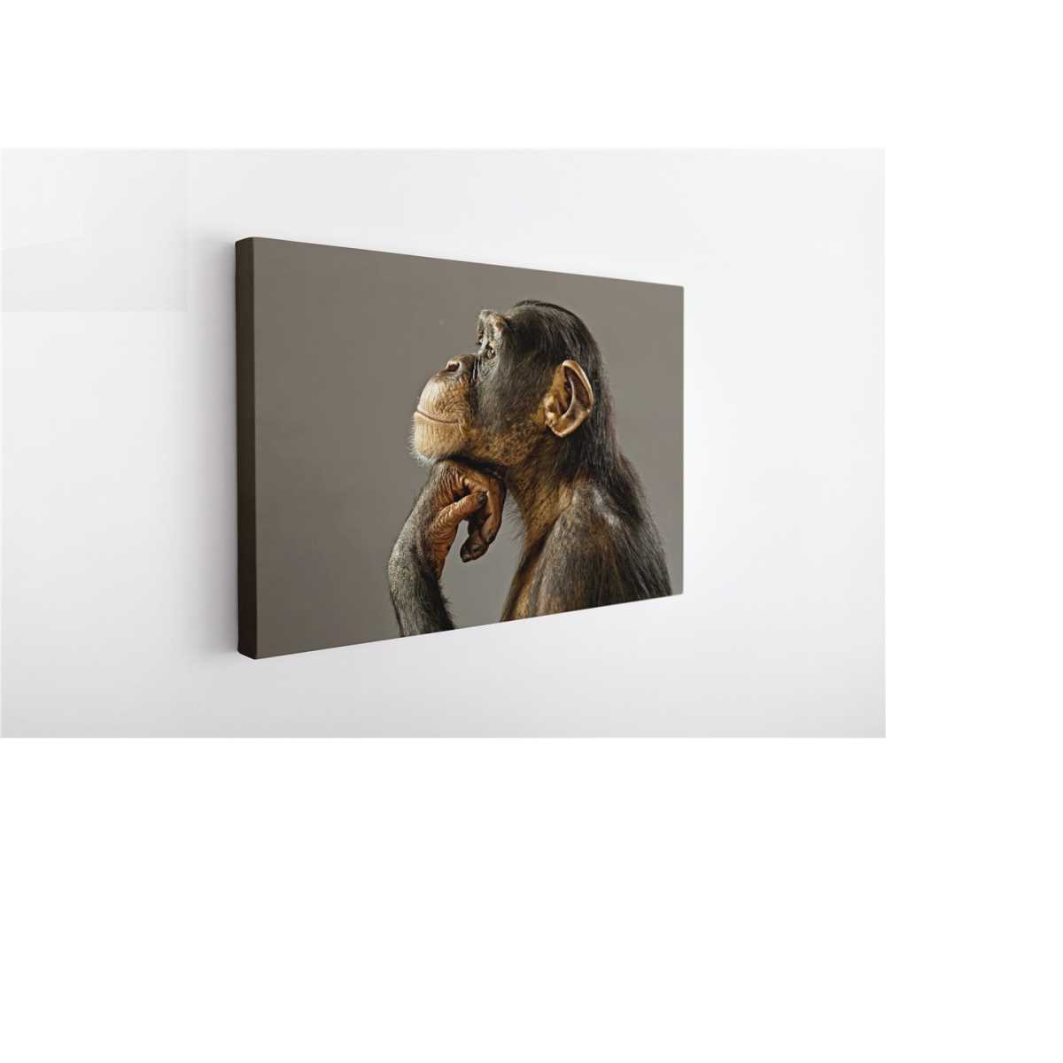 Thinking Monkey Canvas , Animal Poster, Thinking Monkey Post | Inspire ...