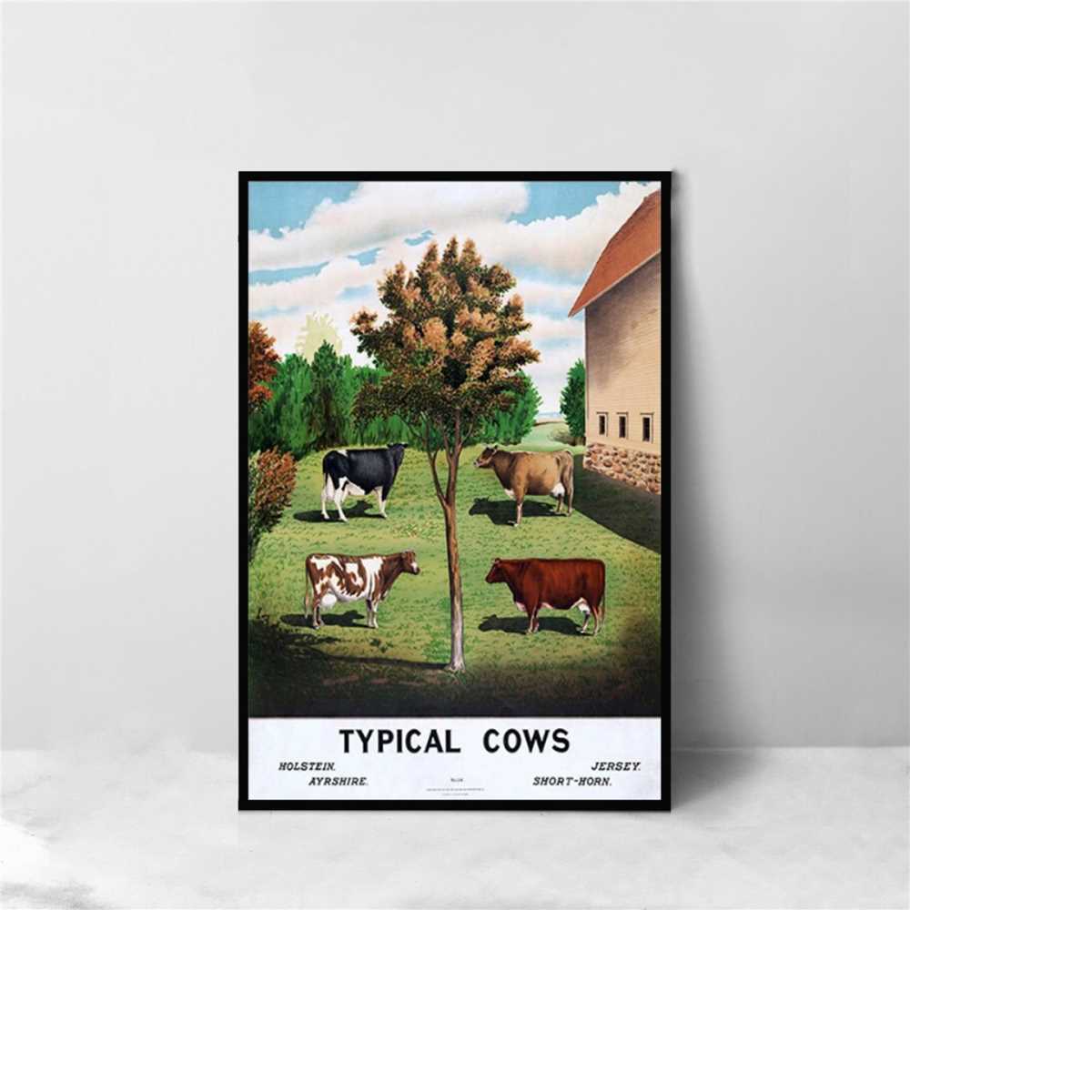 1904 Typical Cows Vintage Style Classic Cow Identification P | Inspire ...