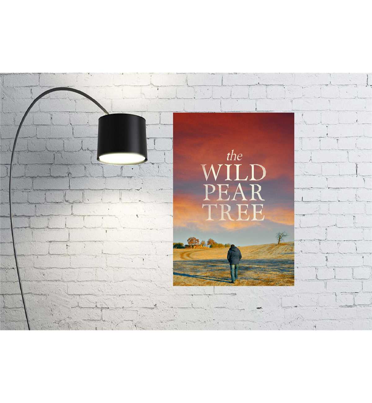 The Wild Pear Tree Movie Poster 2023 Film - Inspire Uplift